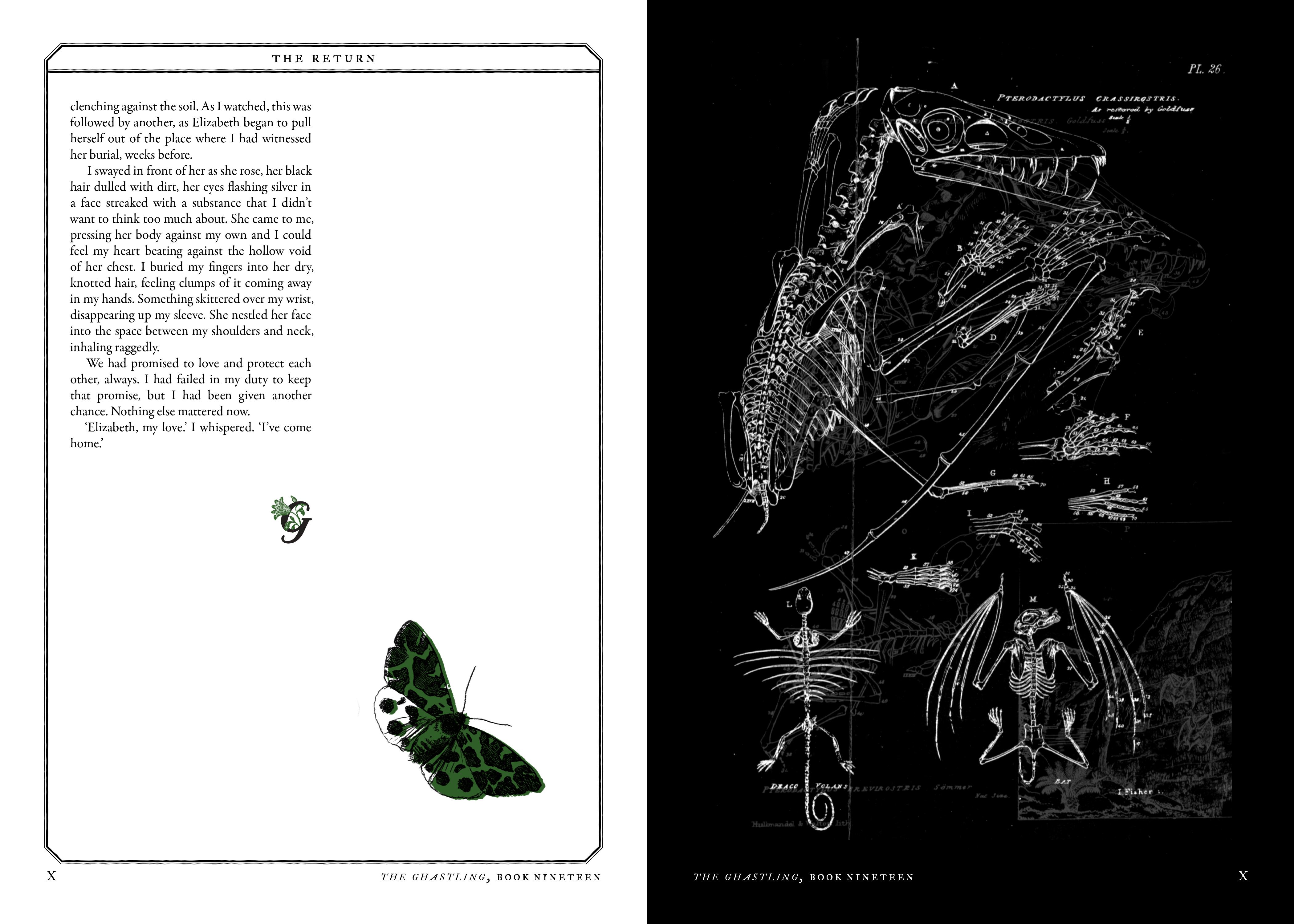 The Ghastling: Book Nineteen – The Ghastling